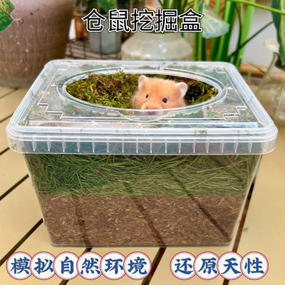 秋冬仓鼠金丝熊挖掘盒挖掘池挖掘箱花草干花天然除臭打洞玩耍厕所