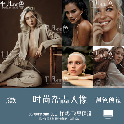 capture one样式 时尚杂志人像户外摄影调色滤镜C1飞思样式CO884