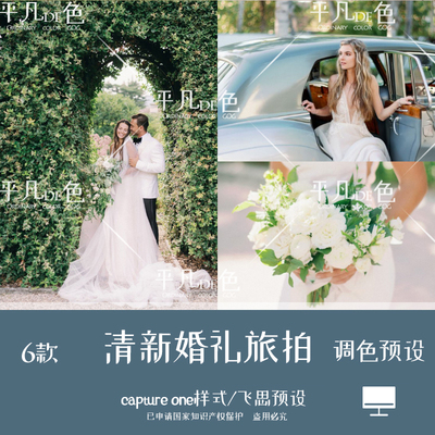 capture one样式清新淡雅婚礼旅拍人肖像调色滤镜C1飞思预设CO195