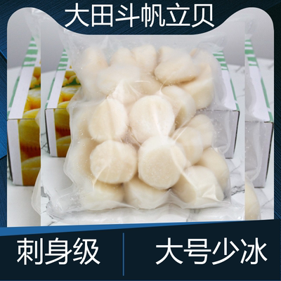 刺身级帆立贝柱大号新鲜澳带子