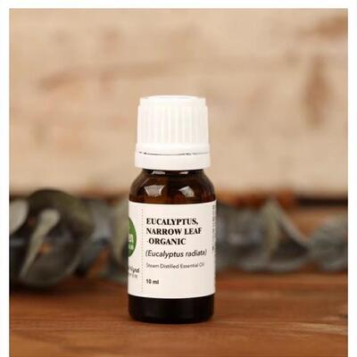 有机澳洲尤加利10ml单方