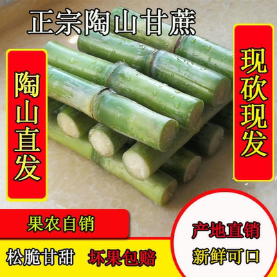 甘蔗陶山甘蔗新鲜水果顺丰包邮