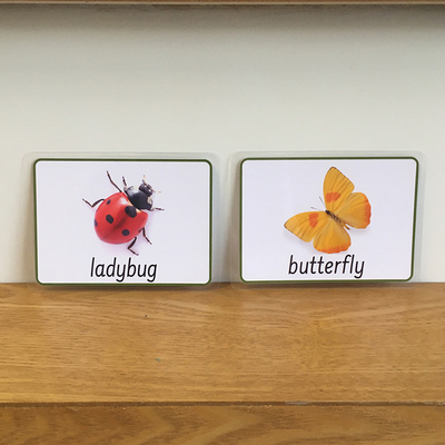 早期启蒙训练英语教具闪卡幼儿园