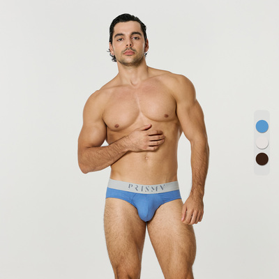 PRISMA男士三角内裤经典修身