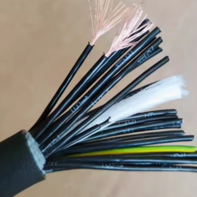 德国缆普拖链电缆 ROBOT 900 P 25芯0.5平方机器人拖链 0028146