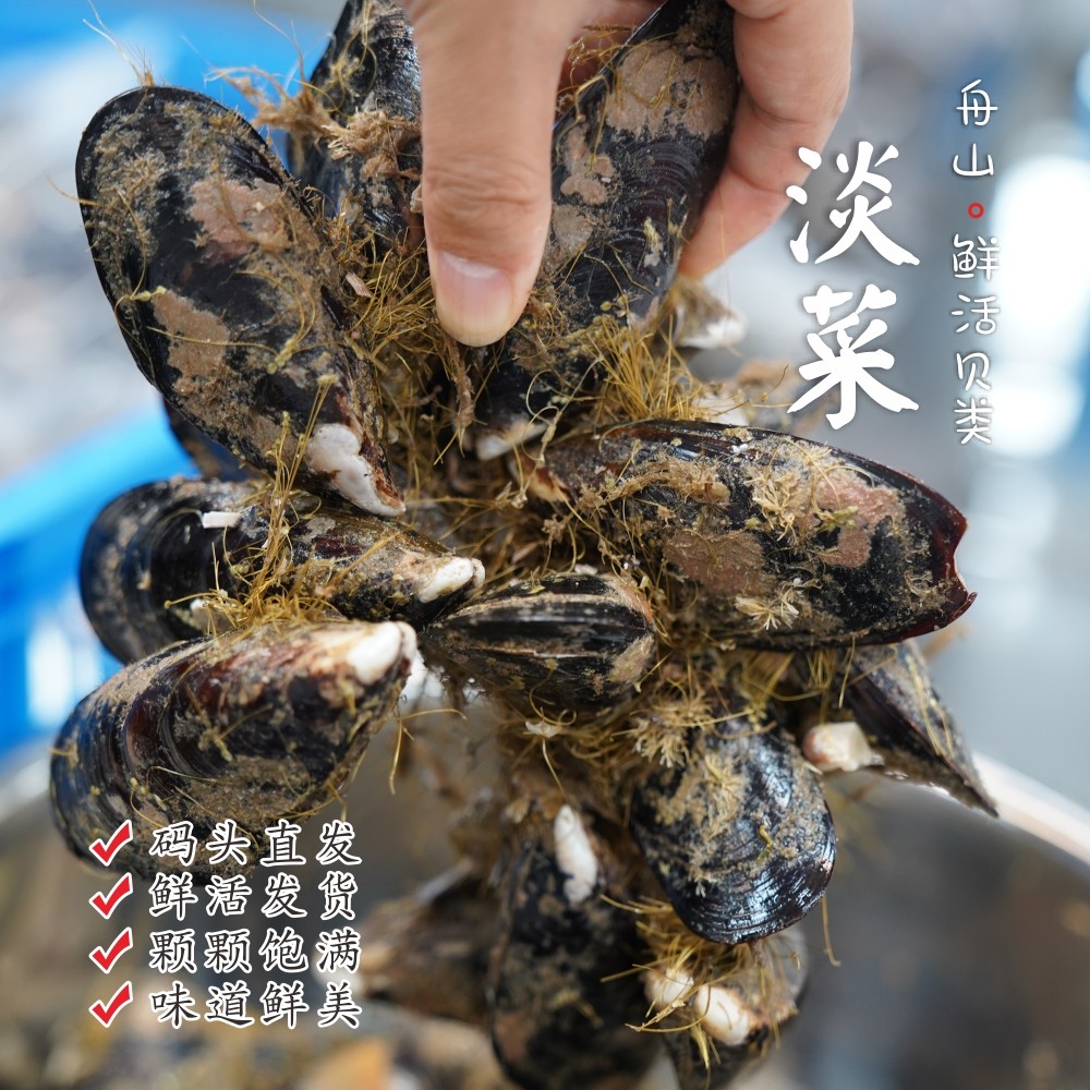 【闹妈】舟山东海大淡菜贻贝青口贝5斤 包邮江浙沪皖 不包活