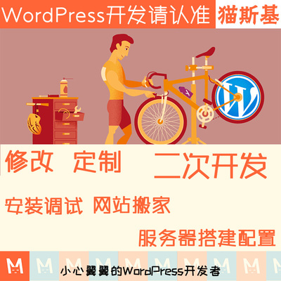wp主题修改 wordpress主题定制 wp插件定制 wp模板修改 建站迷