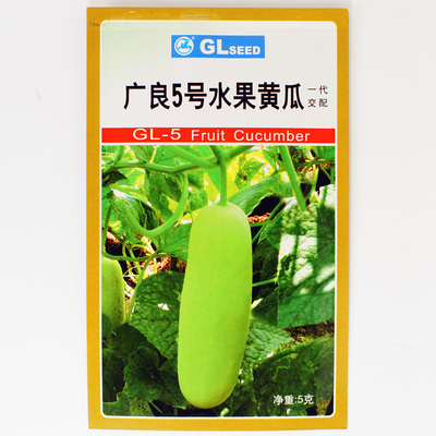 白黄瓜水果黄瓜清甜好吃产量高