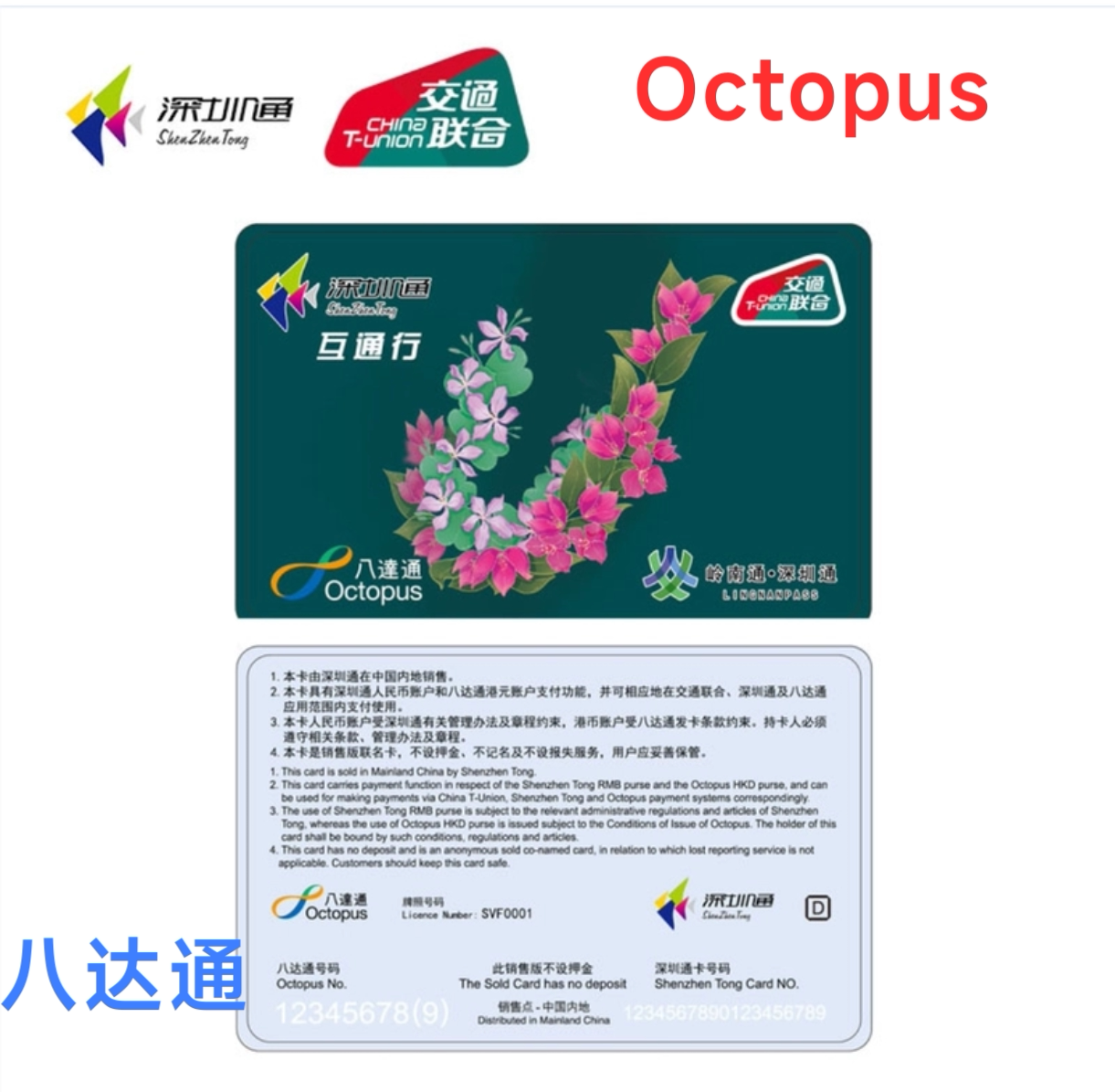深港互通行公交地铁深圳通全国通香港八达通购物餐饮商超出租轮渡