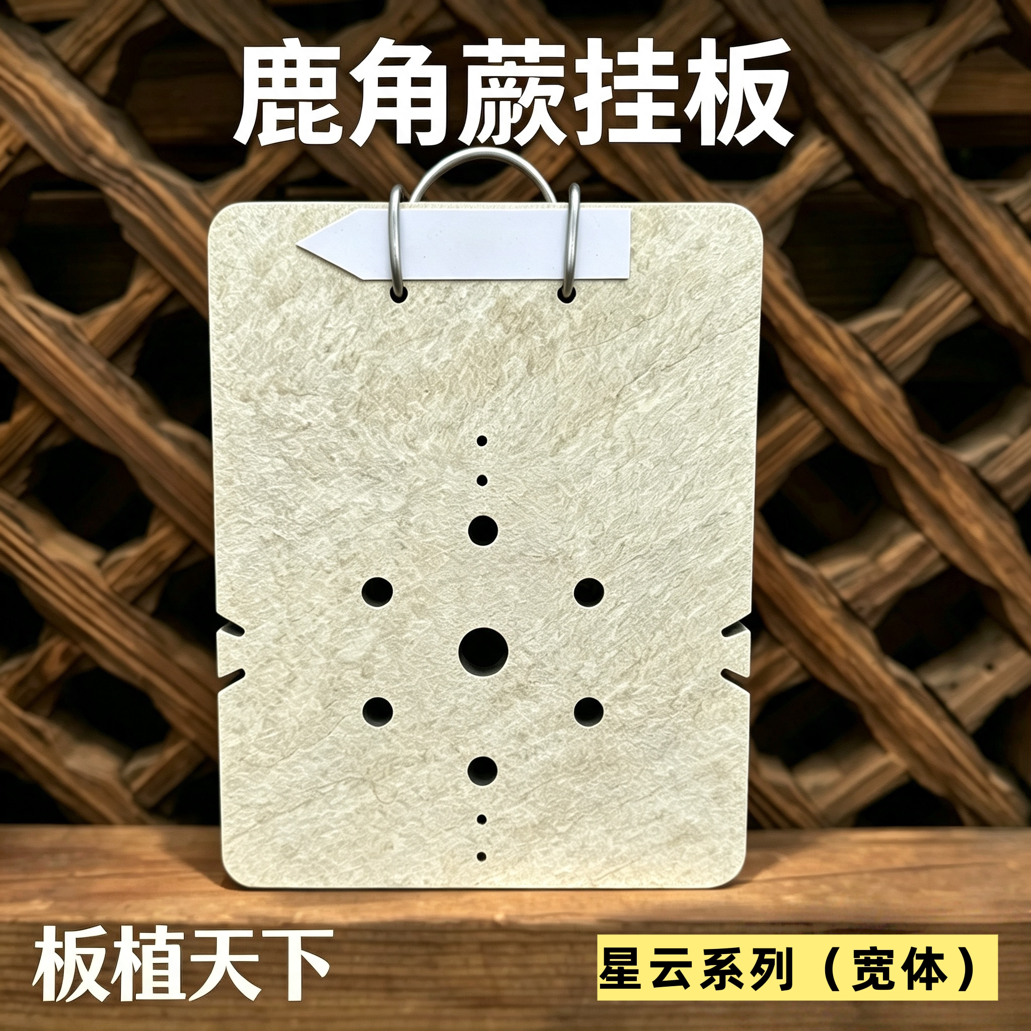 鹿角蕨挂板网红款星云宽体系列挂板热植板洞洞板植鹿角蕨高端挂板