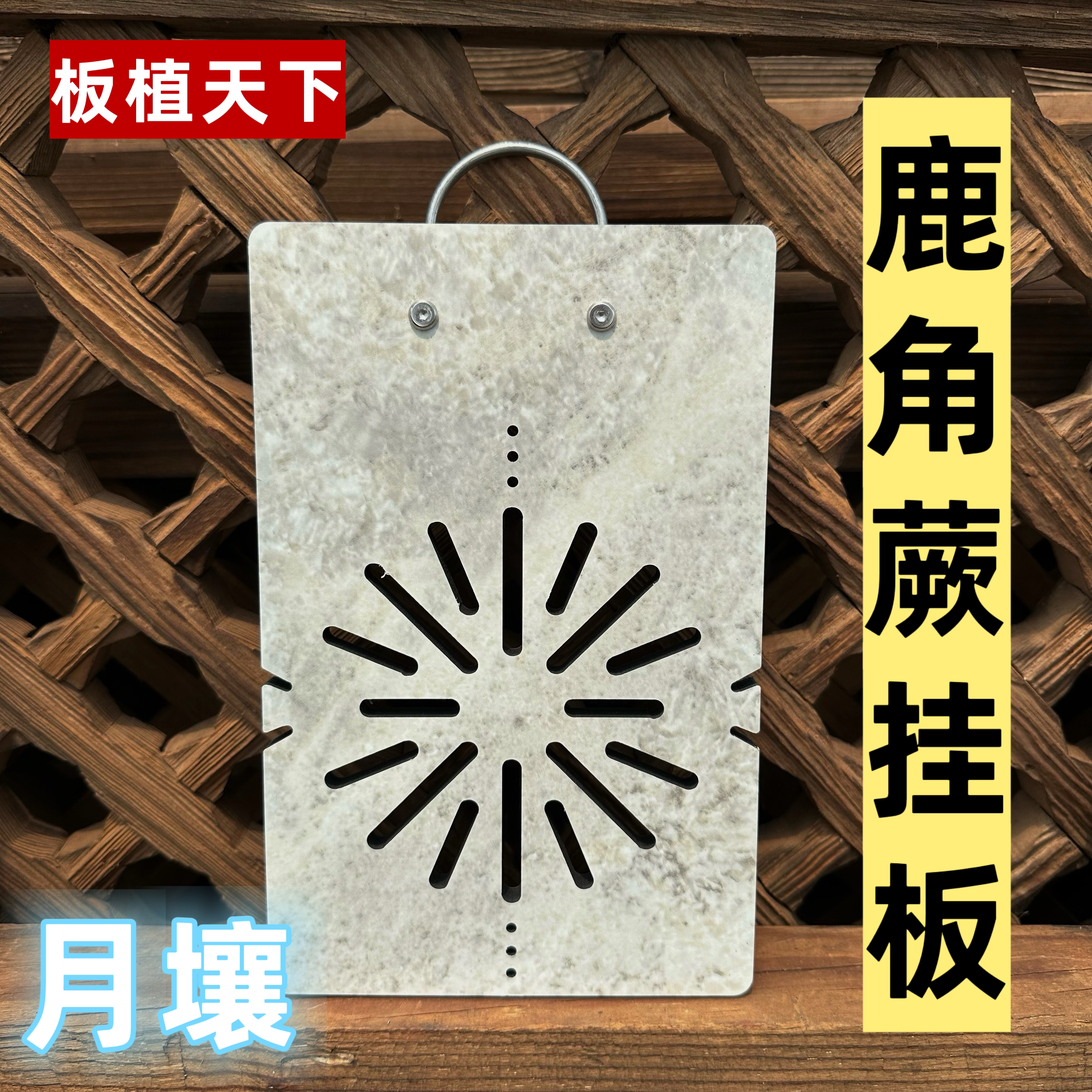 鹿角蕨挂板网红款月壤挂板热植板洞洞板植鹿角蕨高端挂板