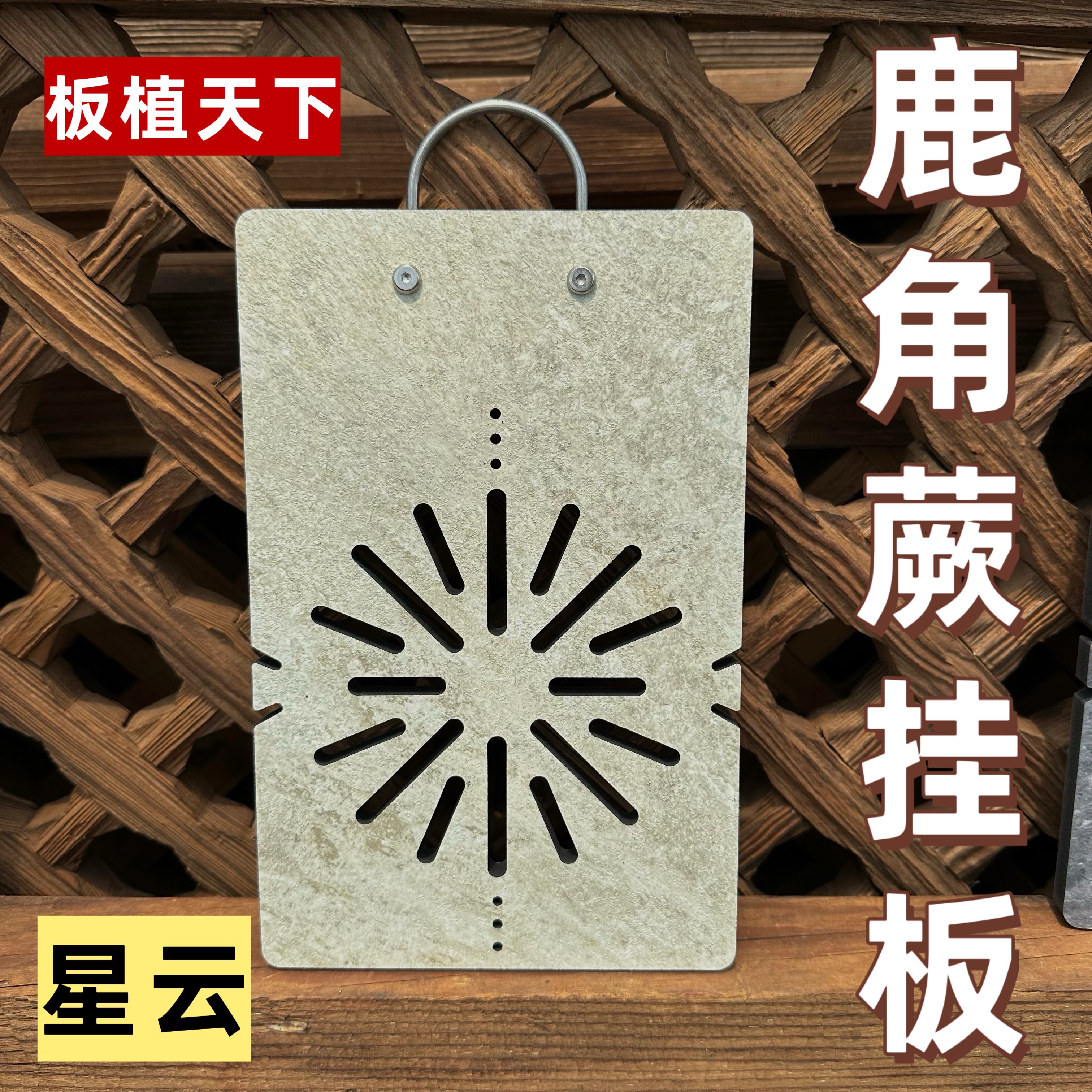 鹿角蕨挂板网红款星云系列挂板热植板洞洞板植鹿角蕨高端挂板