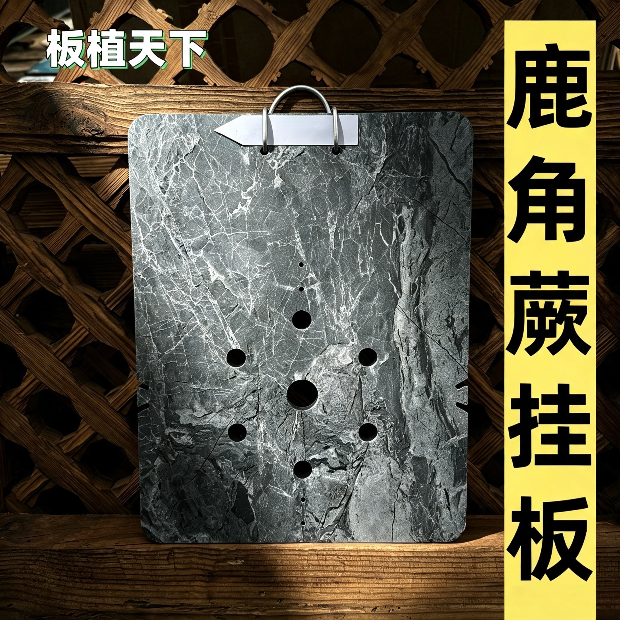 鹿角蕨挂板网红款月壤挂板热植板洞洞板植鹿角蕨高端挂板