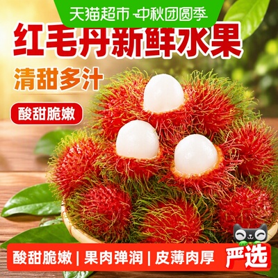 寻天果蔬红毛丹新鲜水果