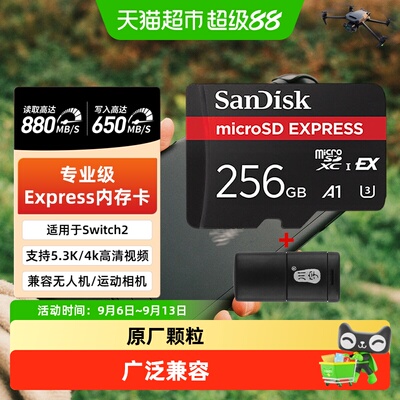 Sandisk闪迪256Gswitch专用卡