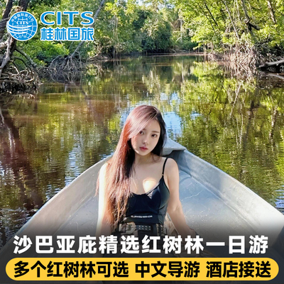 马来西亚沙巴亚庇红树林一日游alaya红树林kawa红树林RIA红树林