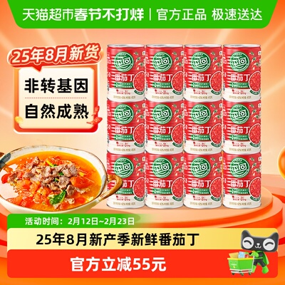 屯河新疆内蒙番茄丁410gx12罐