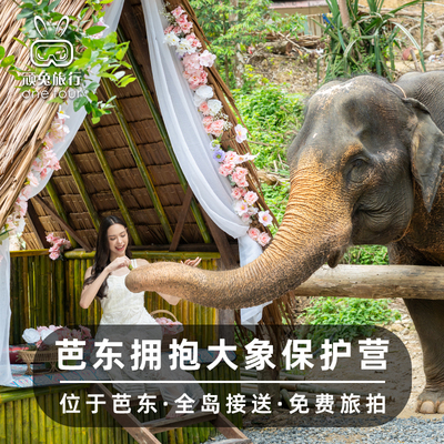 普吉芭东拥抱大象一日游