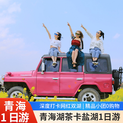 青海西宁一日游茶卡盐湖