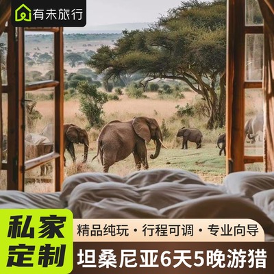坦桑尼亚6天私家团