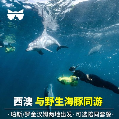 懒猫旅行 西澳大利亚旅游罗金汉姆与海豚同游 可选珀斯出发
