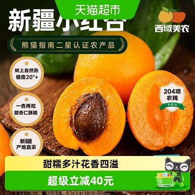 新疆阿克苏小红杏新鲜水果杏子
