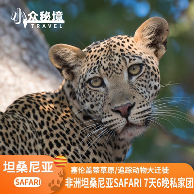坦桑尼亚7天6晚私家团