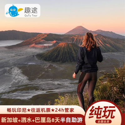 新加坡印尼泗水布罗莫火山巴厘岛旅游蓝梦岛&佩达尼岛8天半自助
