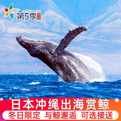 日本旅游冲绳观鲸冬日限定套餐那霸|北谷出发 那霸定点接送