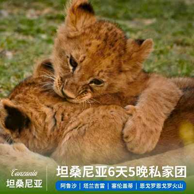 坦桑尼亚6日私家团塔兰吉雷塞伦盖蒂+恩杜图+恩戈罗产崽季12-3月