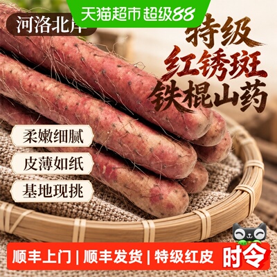 河洛北岸温县红皮铁棍山药5斤