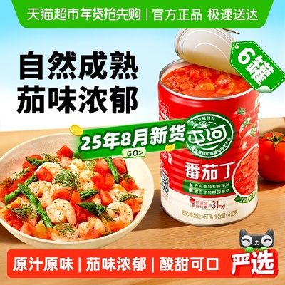 屯河新疆内蒙番茄丁罐头