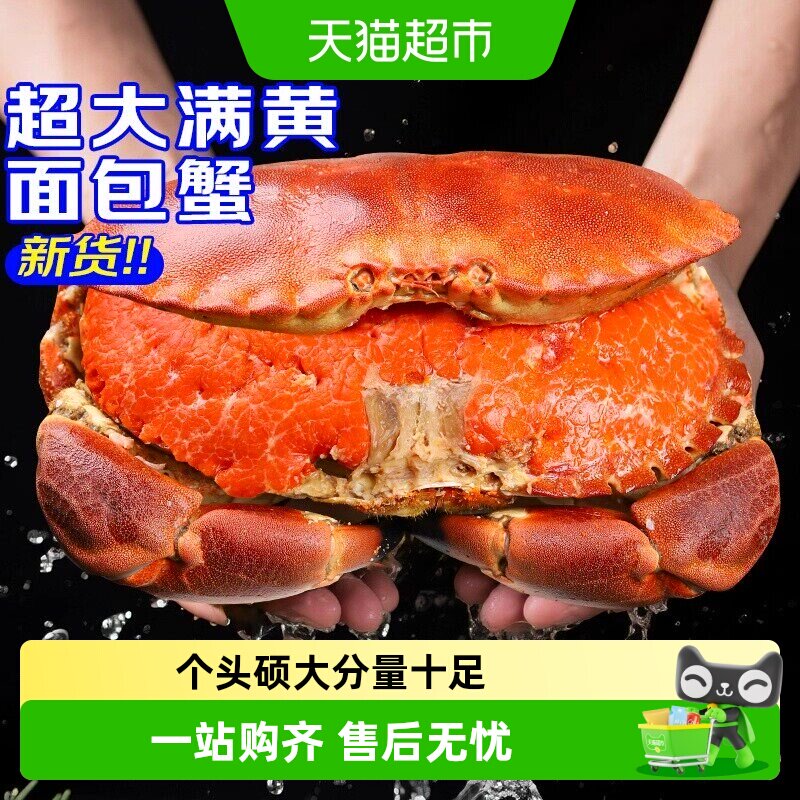 顺丰上门面包蟹特大母帝王蟹熟冻大螃蟹海蟹新鲜海鲜水产黄金蟹