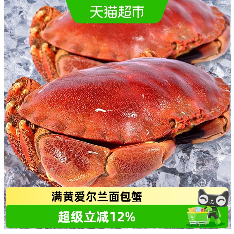 面包蟹超大母帝王蟹鲜活熟冻大螃蟹新鲜海蟹海鲜水产黄金蟹珍宝蟹