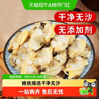 千牛农蛤蜊肉丹东