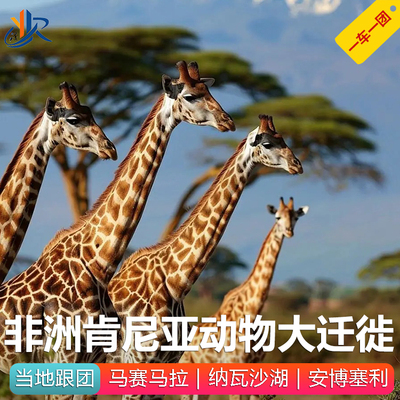 非洲旅游肯尼亚旅游