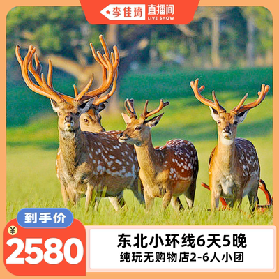李佳奇618