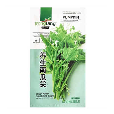 养生南瓜尖种子适应强四季易种植倭瓜尖番瓜尖藤叶产量高蔬菜种籽