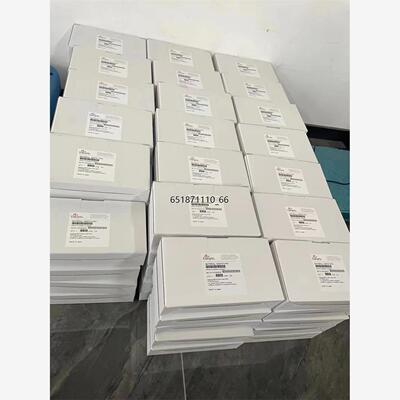 美国ENTEGRSI气体过滤器