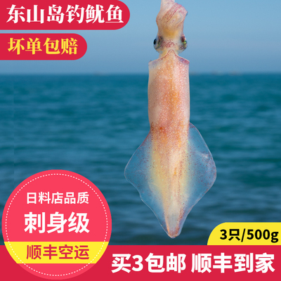 500g东山岛野生手钓火箭大鱿鱼