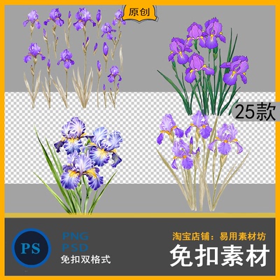 婚礼效果图花艺ps手绘ipad素材紫色纸艺道具鸢尾花油画莫奈190