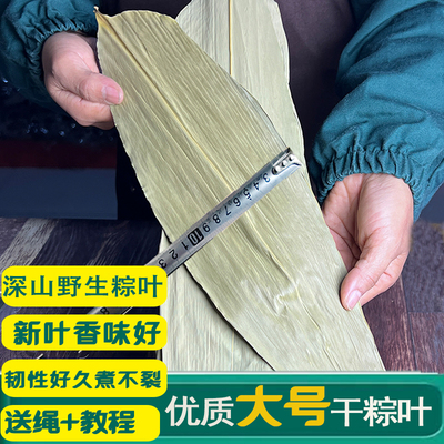特大粽叶包粽子专用新粽叶干大号粽子叶江西野生竹叶家用无防腐剂