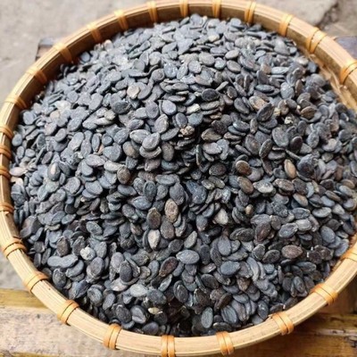 湖北广水大悟特产熟椒盐口味瓜子