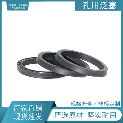 LTULIIE孔用泛塞封PV密封圈