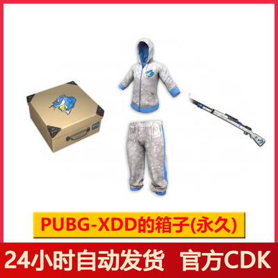 PUBG皮肤XDD的箱子兑换码CDK