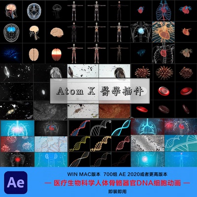 AE AtomX插件700种 医疗人体骨骼器官DNA细胞动画WIN MAC版本0459