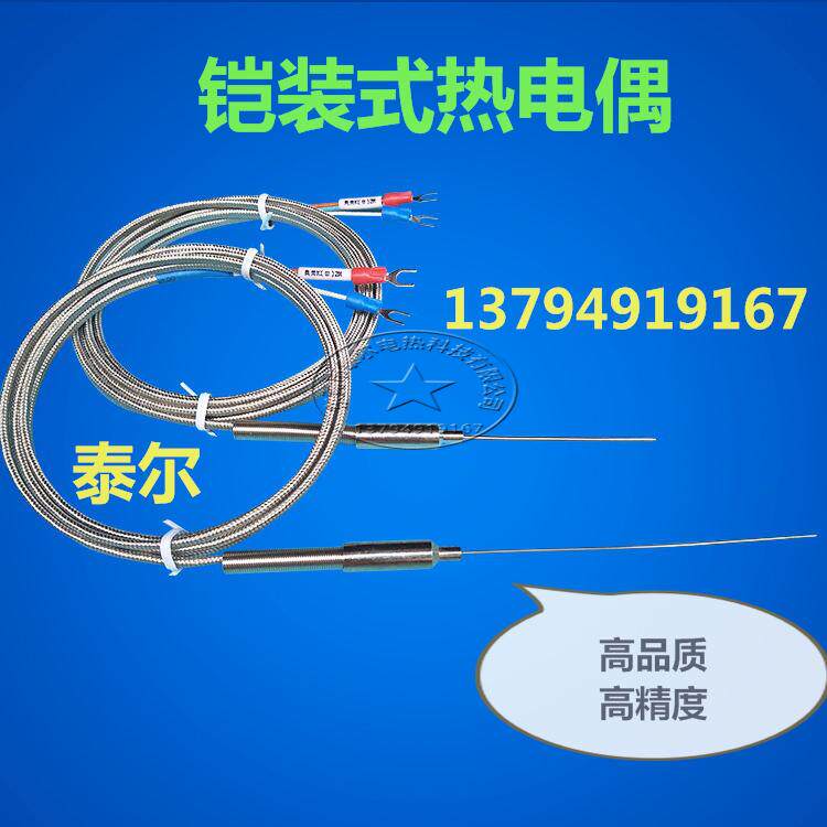 K型铠装热电偶E J型高温探头针式热电阻WRNK-191温度传感器可弯曲