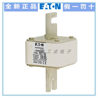 Bussmann 熔断器170M6214 6215 6216 6217 6218 6219保险丝 690V