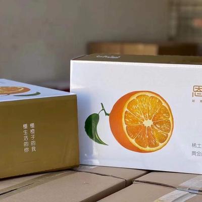 恩妈鲜橙 恩妈橙 2025恩妈鲜果上市啦