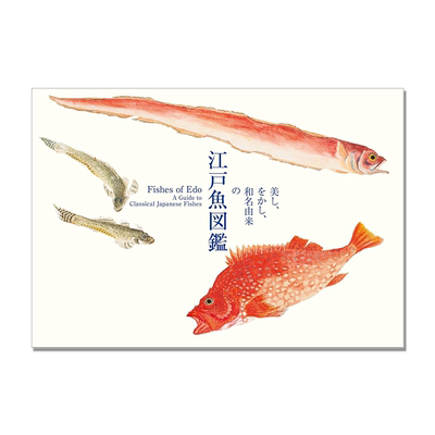 美し、をかし、和名由来の江戸魚図鑑 江户鱼图鉴画集 PIE 写生图谱